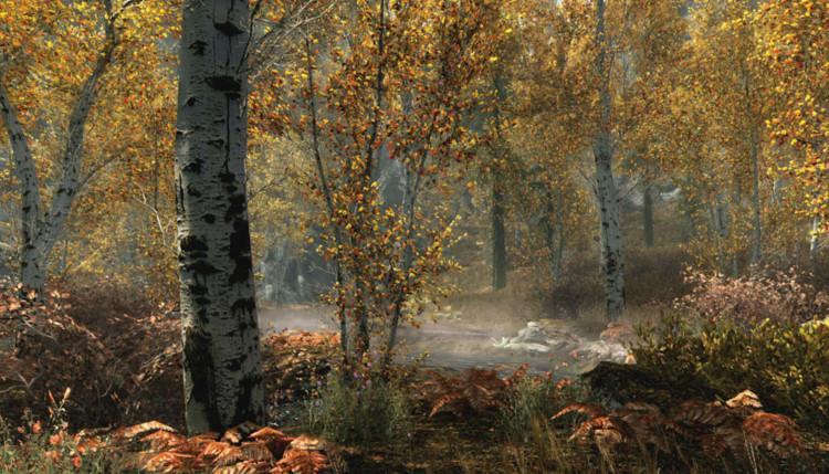 Finally! Mods for Skyrim, Fallout 4 on PS4 - Second Union