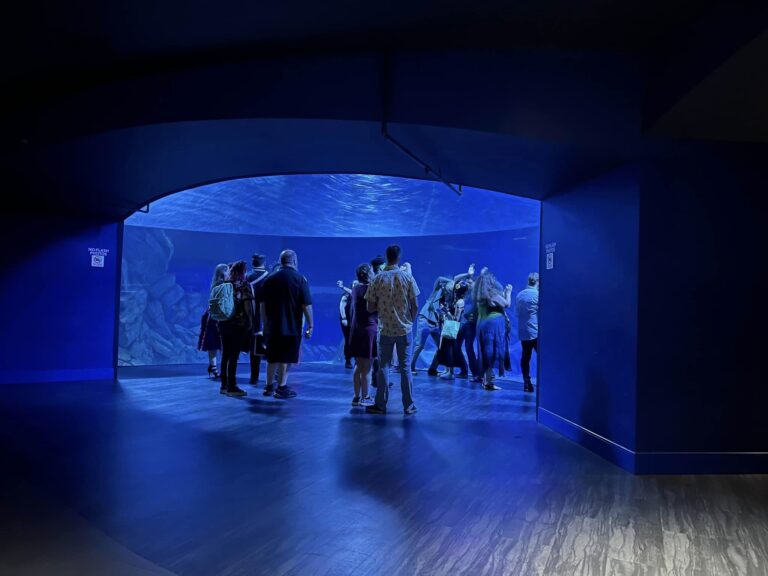 A Look Back at Dragon Con 2024: Cosplay, Community, and Pop Culture ...